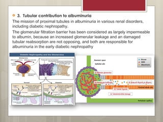 Diabetic_nephropathy.pptxhshhshehdje ejdjjjr | PPTX
