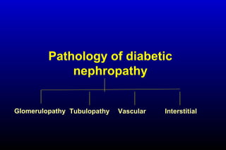 Diabetic Nephropathy Pathophysiology