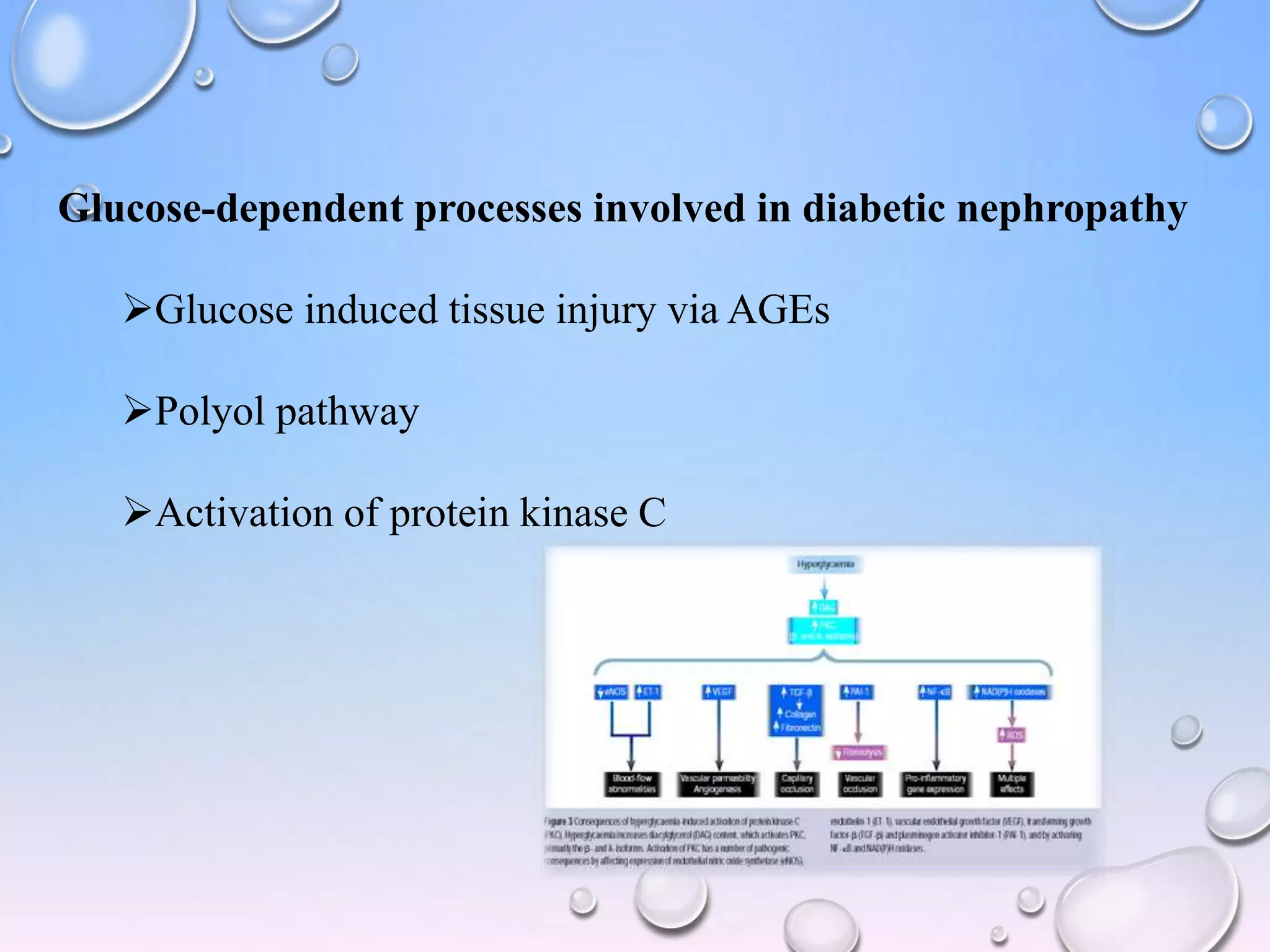 Diabetic nephropathy v7 | PPT