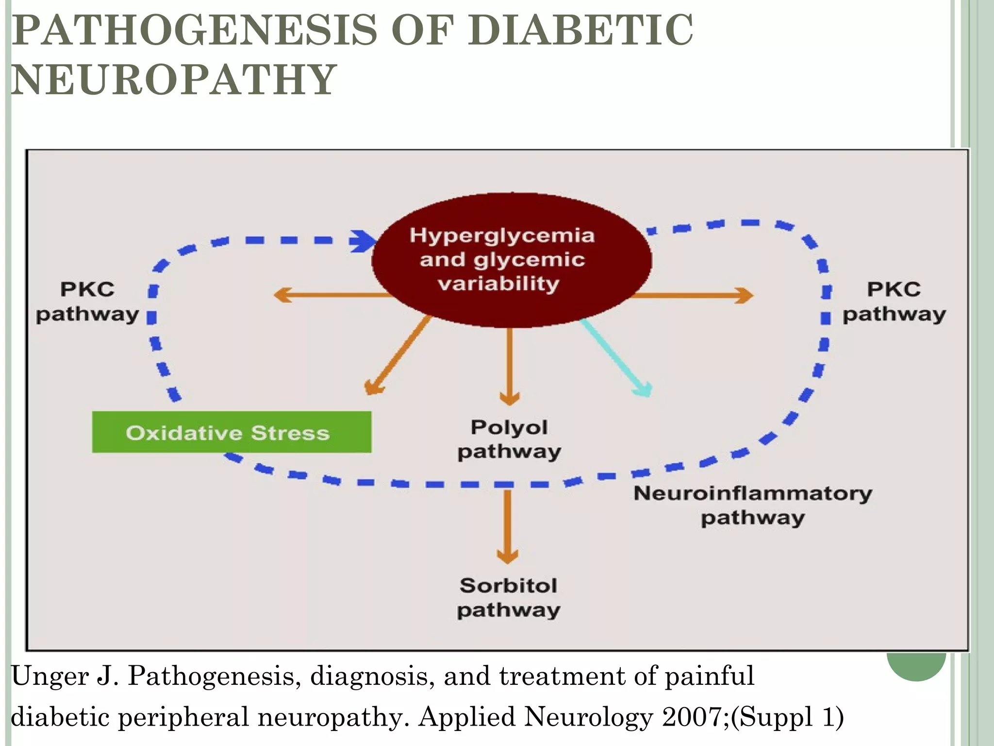 diabeticneuropathy-130118063100-phpapp02.pdf | Diabetes | Diseases and ...
