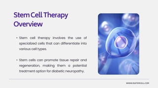 Diabetic Neuropathy: The Promise of Stem Cell Therapy | Dr David Greene ...
