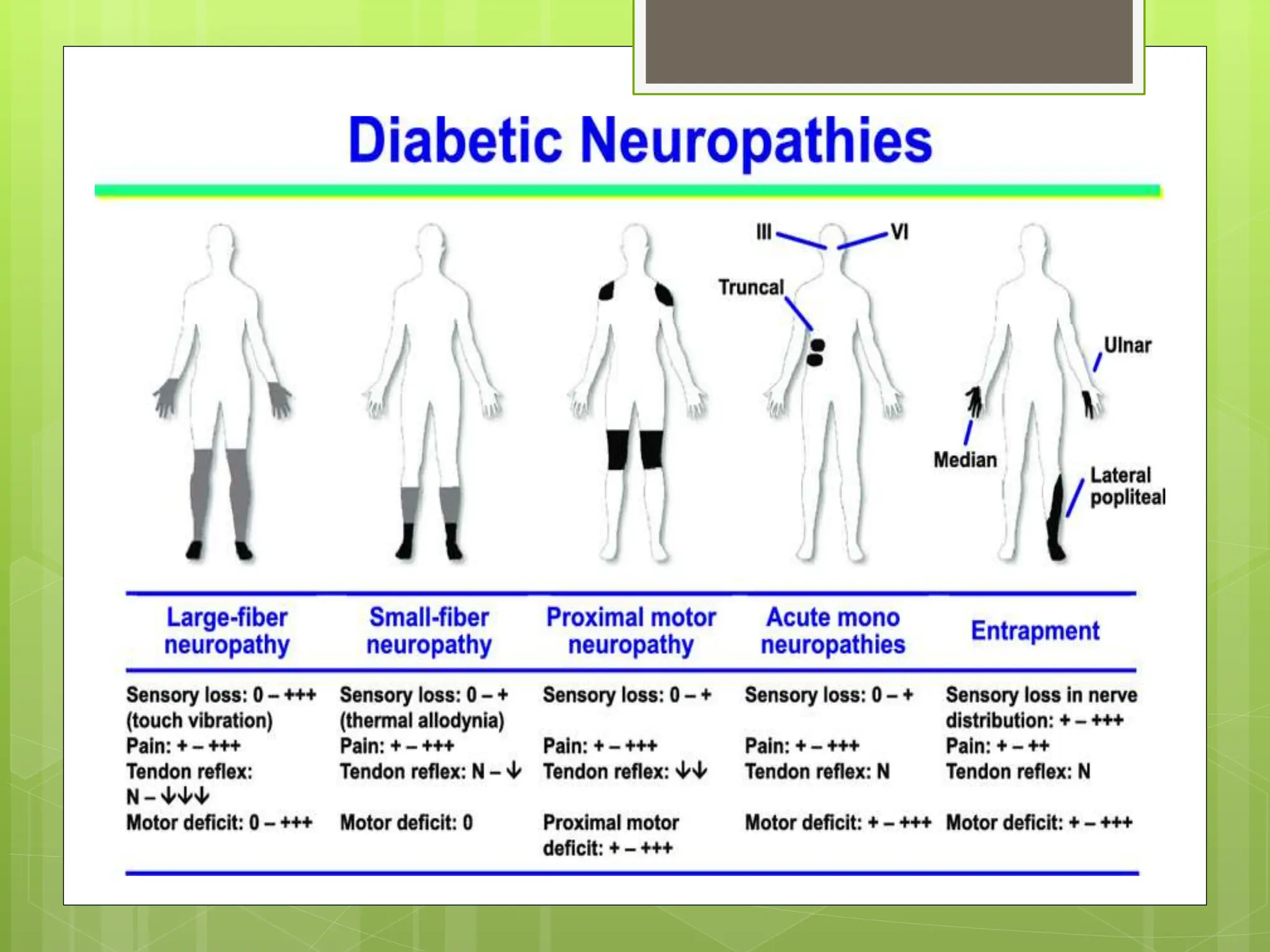 Diabetic neuropathy DR DINESH.pptx