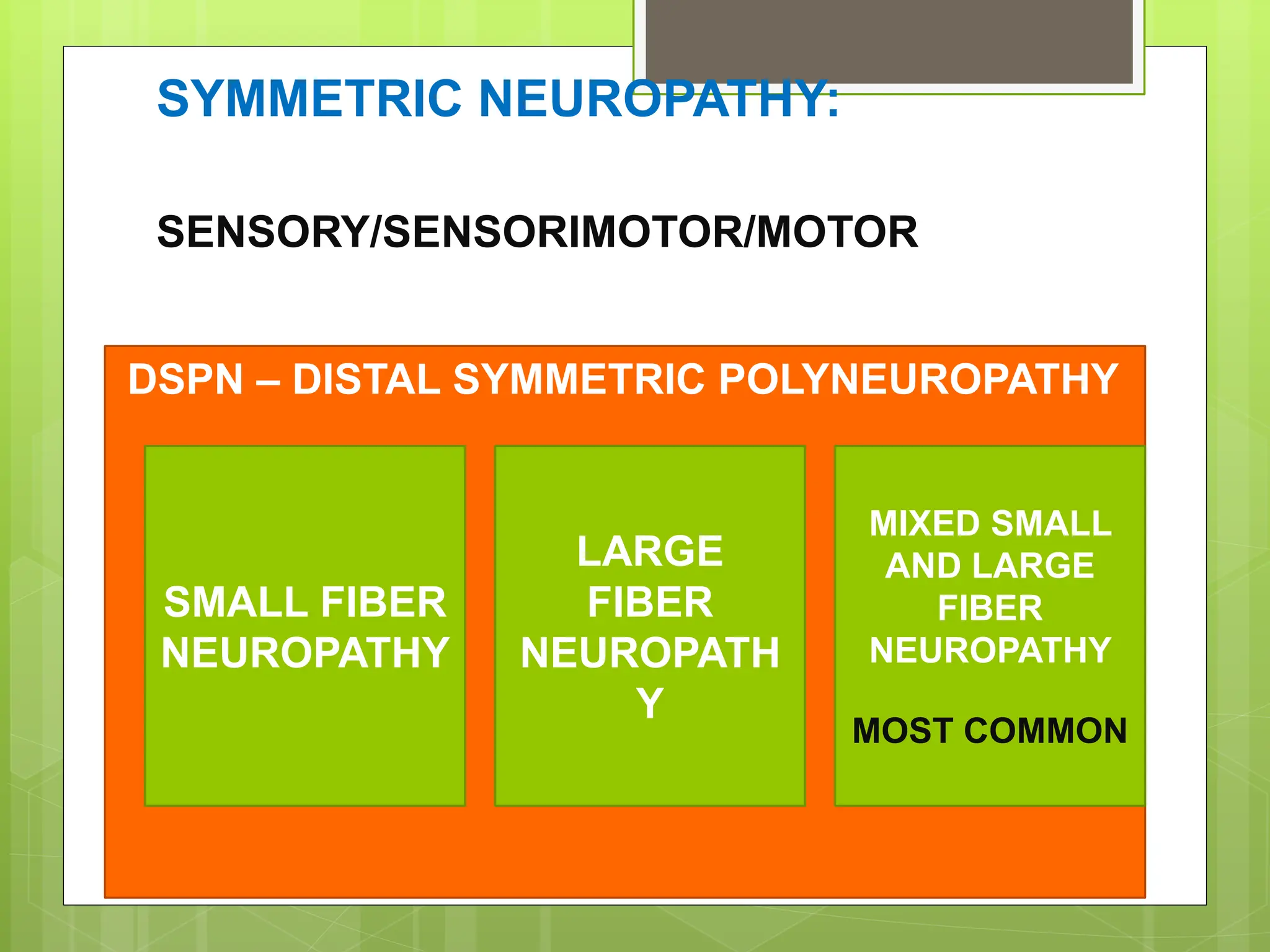 Diabetic neuropathy DR DINESH.pptx