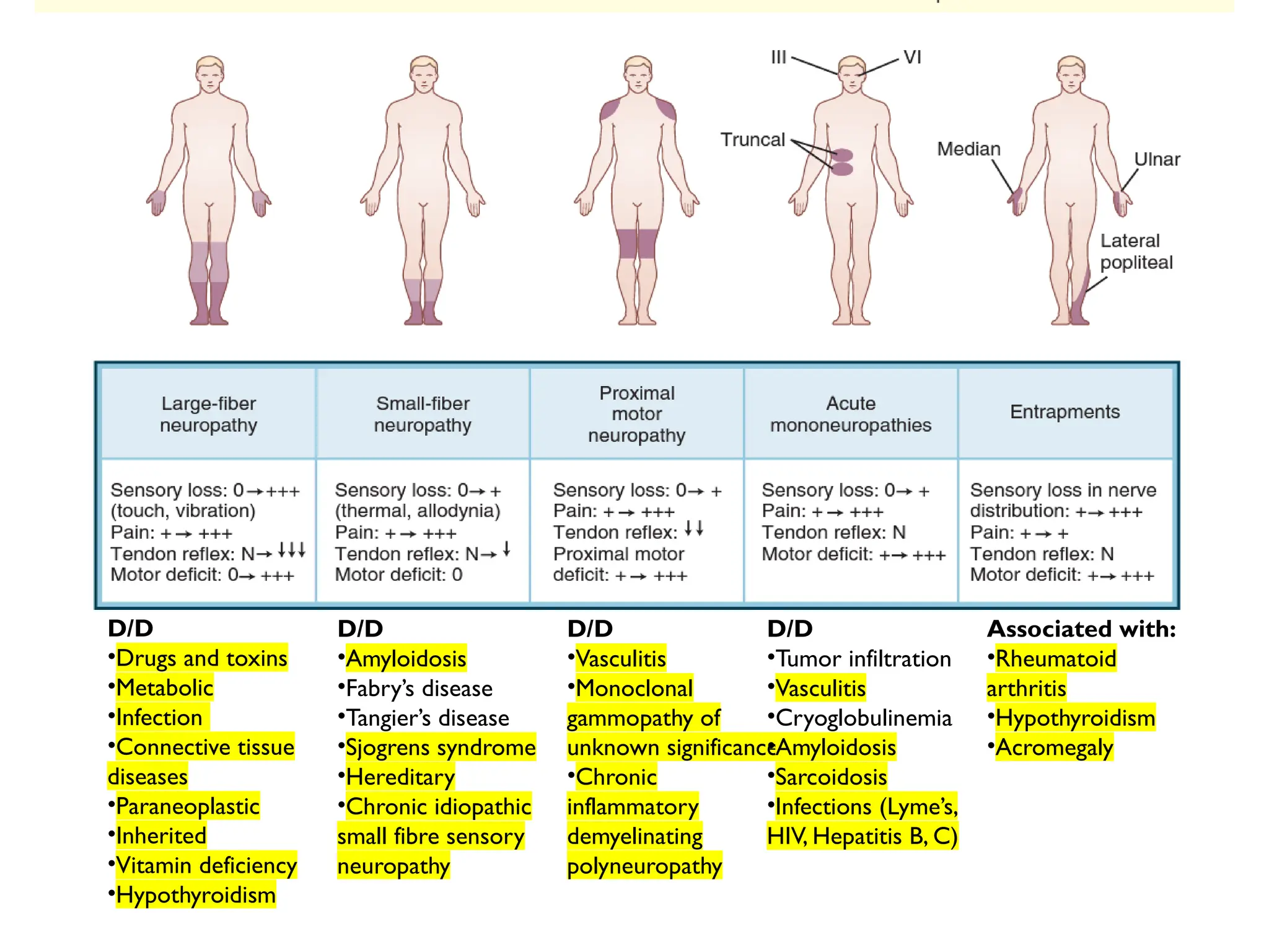 Approach to Peripheral and Autonomic Neuropathy in Diabetic Mellitus | PPTX