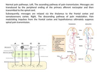 Diabetic neuropathy peripheral autonomic | PPTX