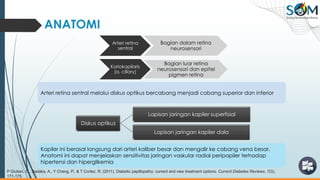 Diabetic Papillopathy | PPTX