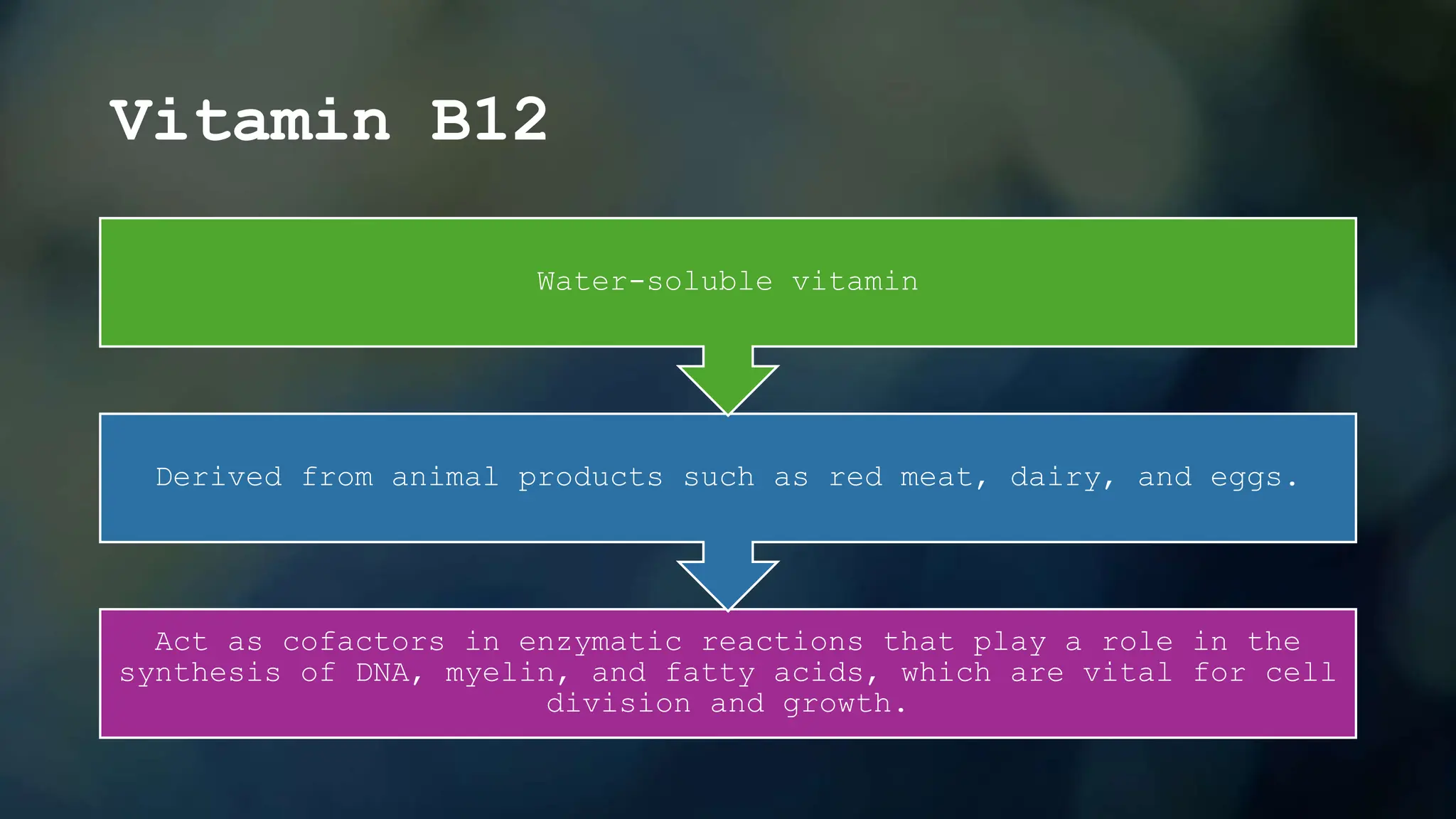 Diabetic Peripheral Neuropathy and Vitamin B12 Issue | PPTX