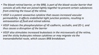 Diabetic retinopathy | PPT