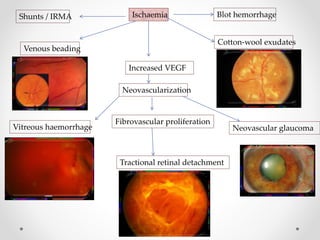 DIABETIC RETINOPATHY.pptx ophthalmological | PPTX