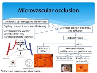 Screening of Diabetic Retinopathy | PPT