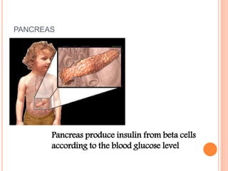 Diabetes description | PPTX