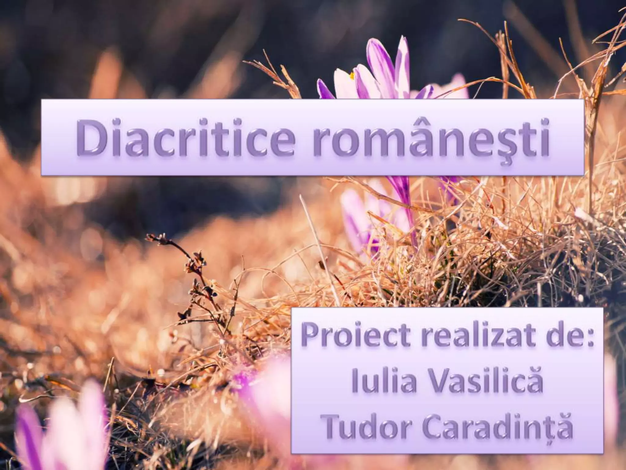 Diacriticele in limba romana | PPT