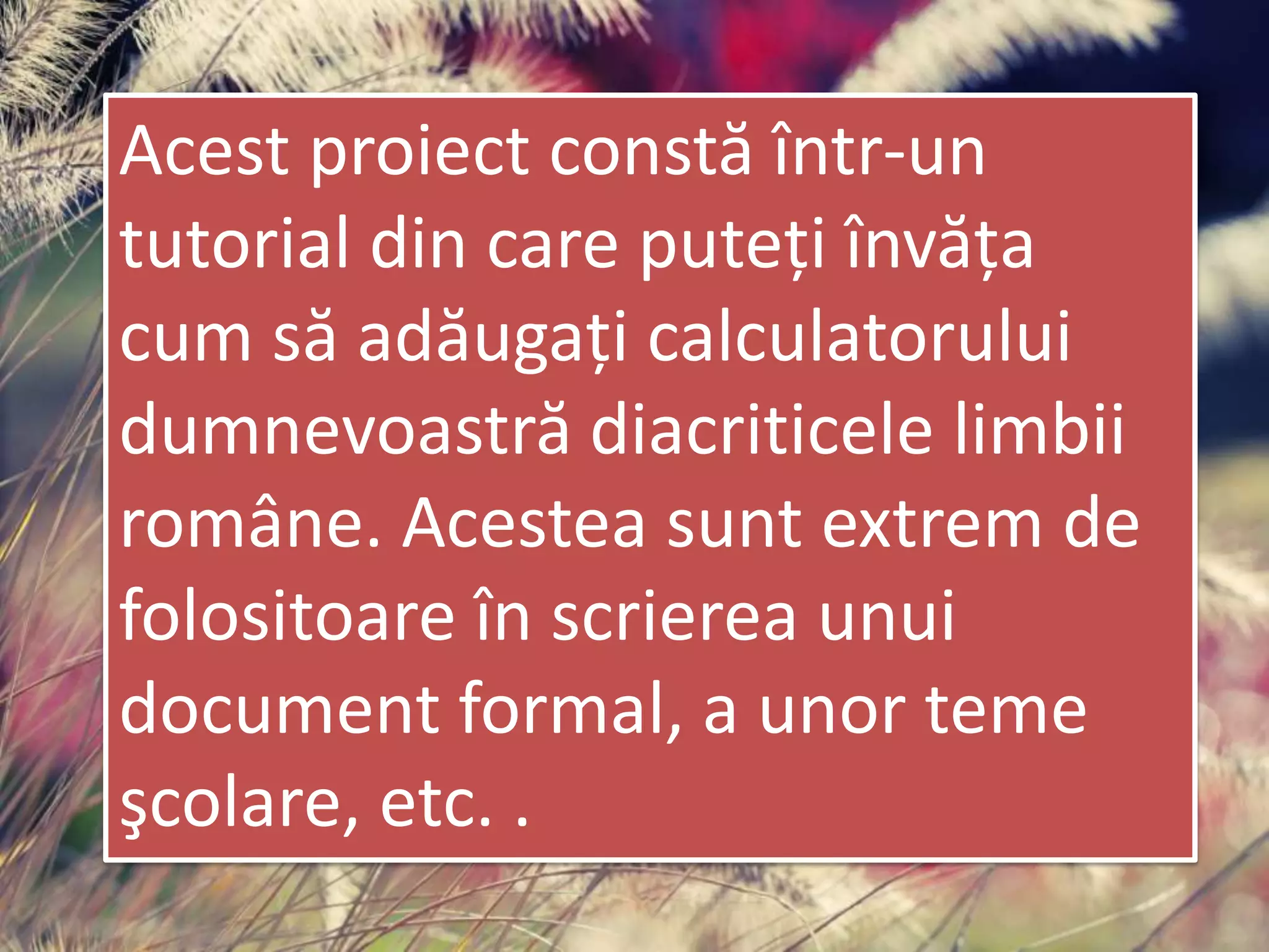 Diacriticele in limba romana | PPT