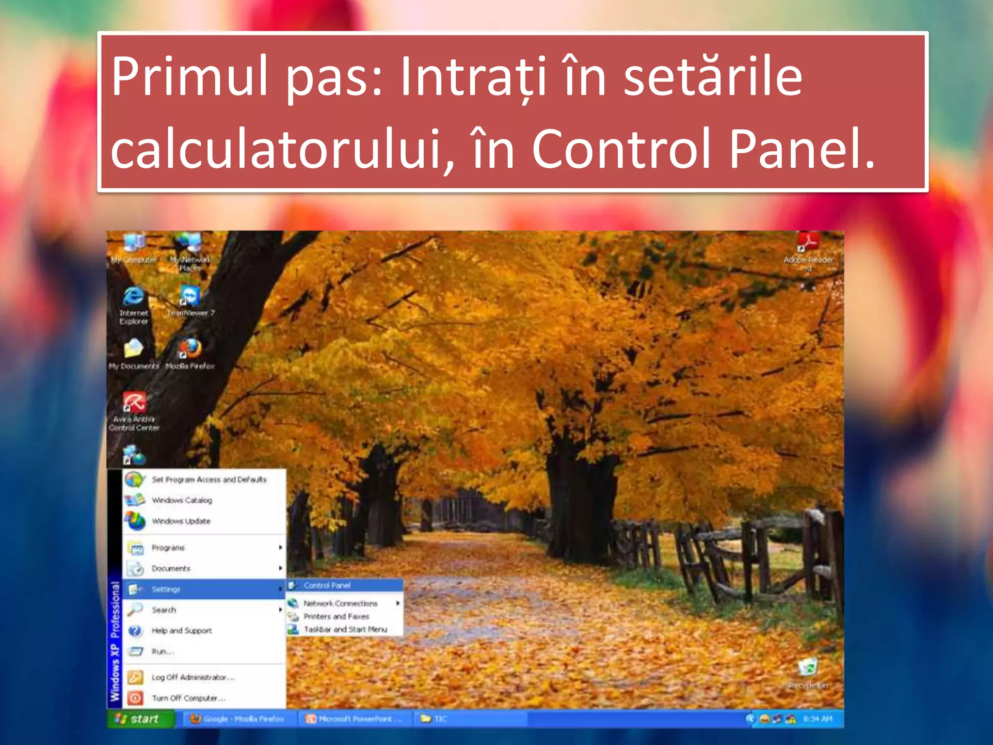 Diacriticele in limba romana | PPT