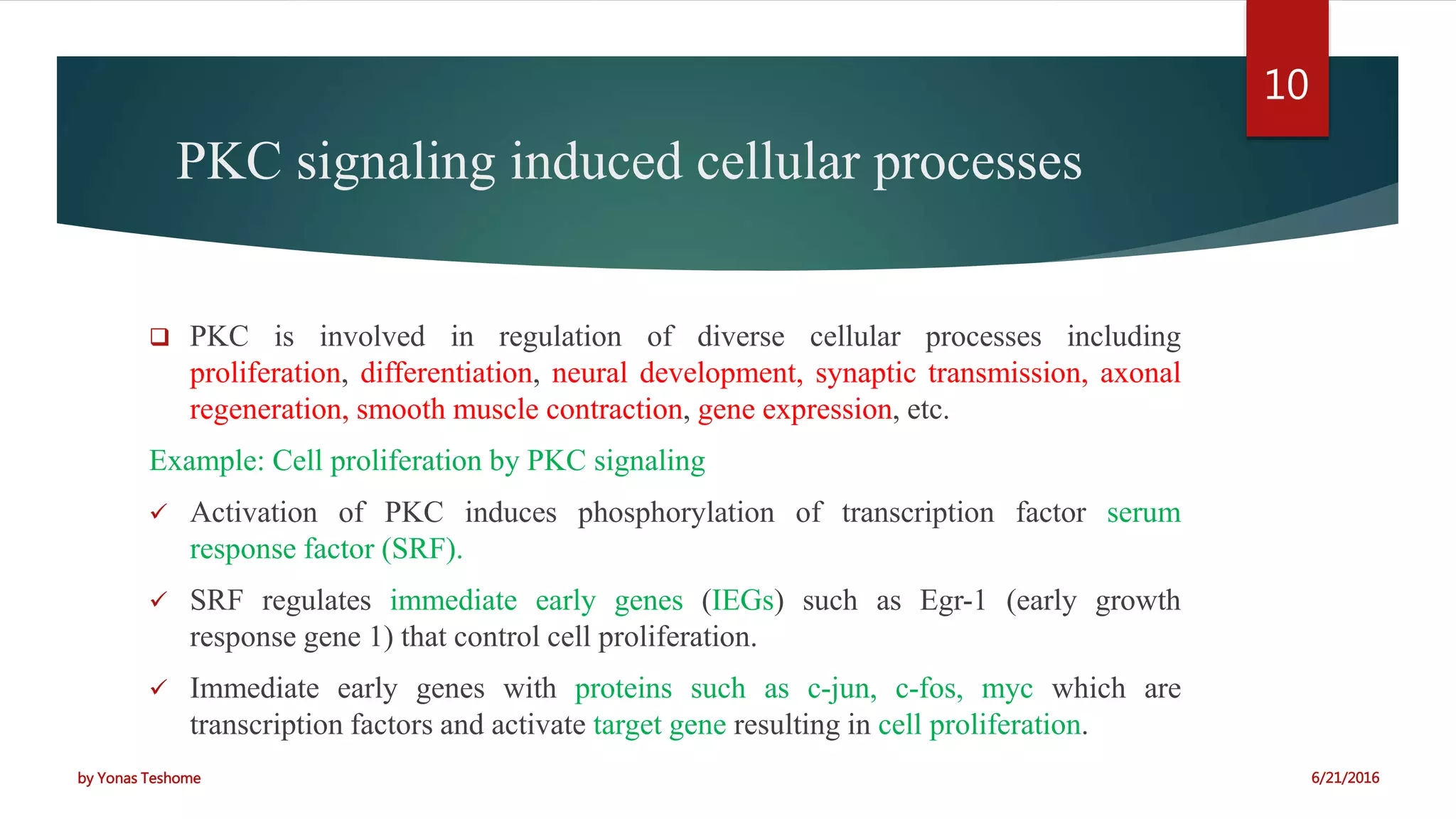 Diacylglycerol signaling pathway | PPTX