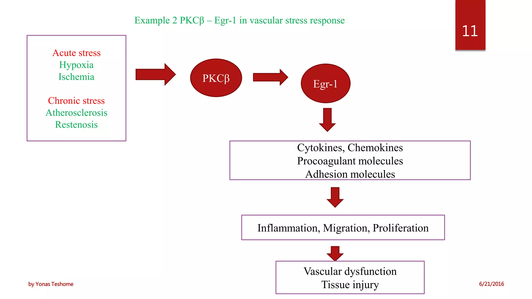 Diacylglycerol signaling pathway | PPTX