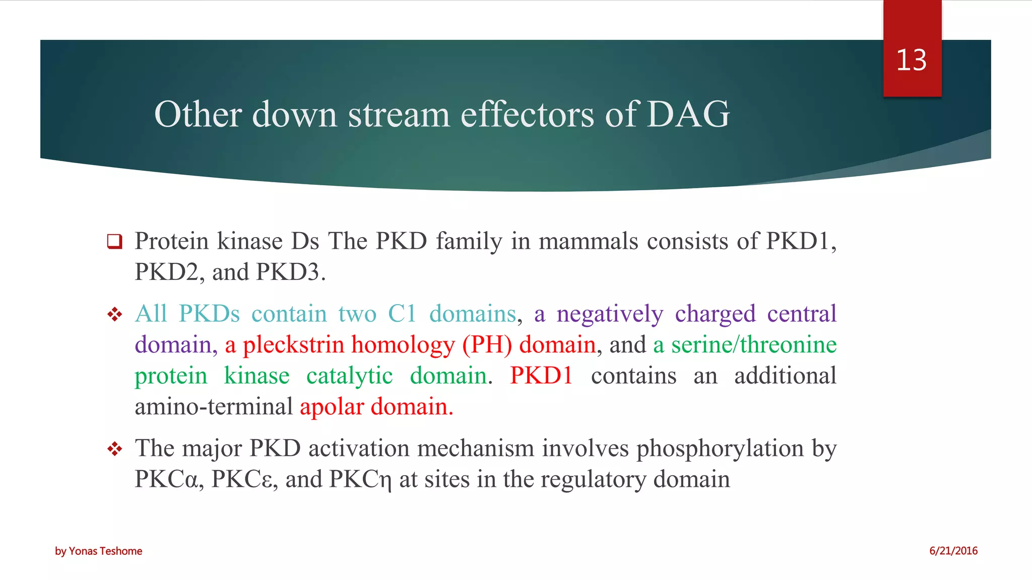 Diacylglycerol signaling pathway | PPTX