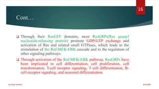 Diacylglycerol signaling pathway | PPTX