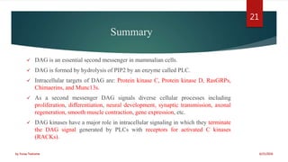 Diacylglycerol signaling pathway | PPTX