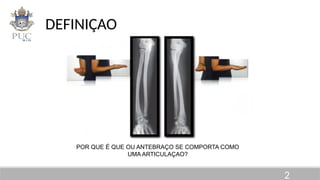 DIAFISE DO ANTEBRAÇO ANATOMIA CLASIFICACION | PPTX