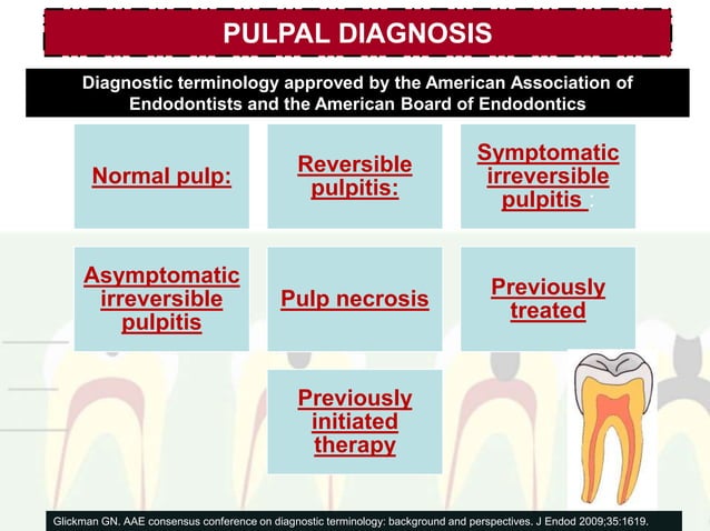 CLINICAL DIAGNOSIS OF ENDODONTIC PATHOSIS | PPT | Dental Health ...