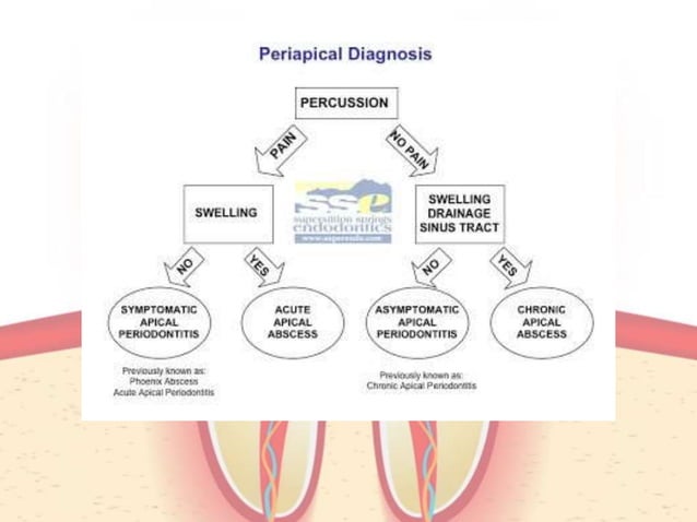 CLINICAL DIAGNOSIS OF ENDODONTIC PATHOSIS | PPT | Dental Health ...