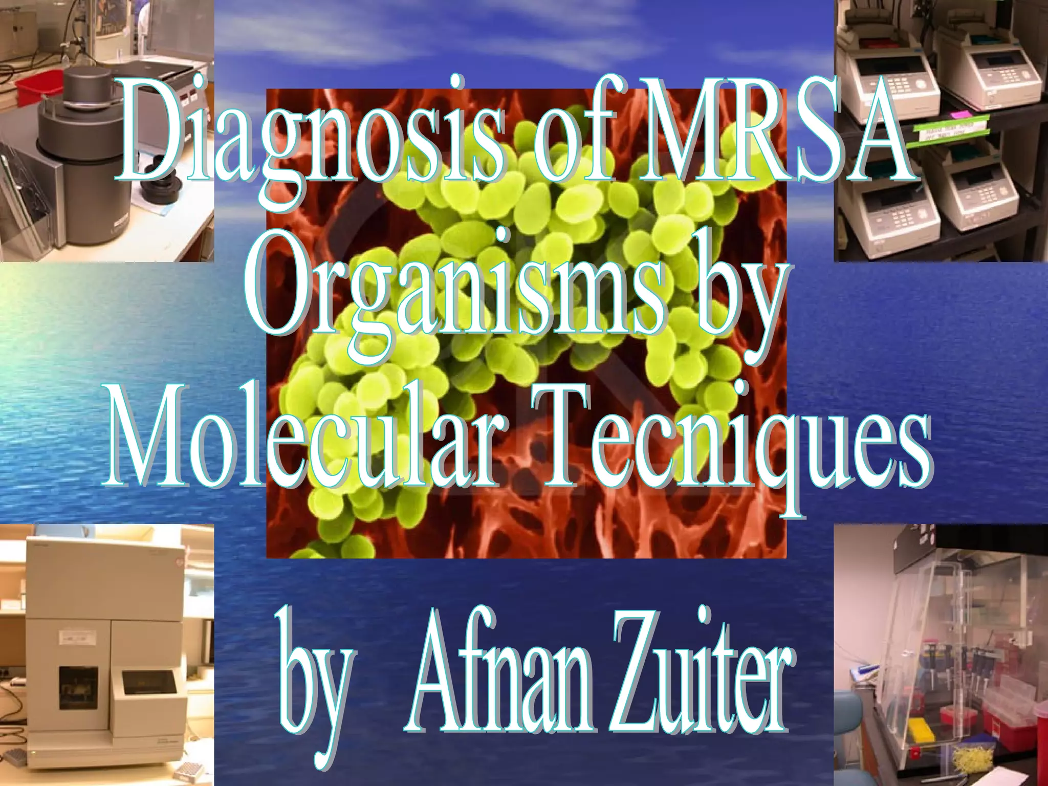 Diagnosis of mrsa by molecular methods | PPT