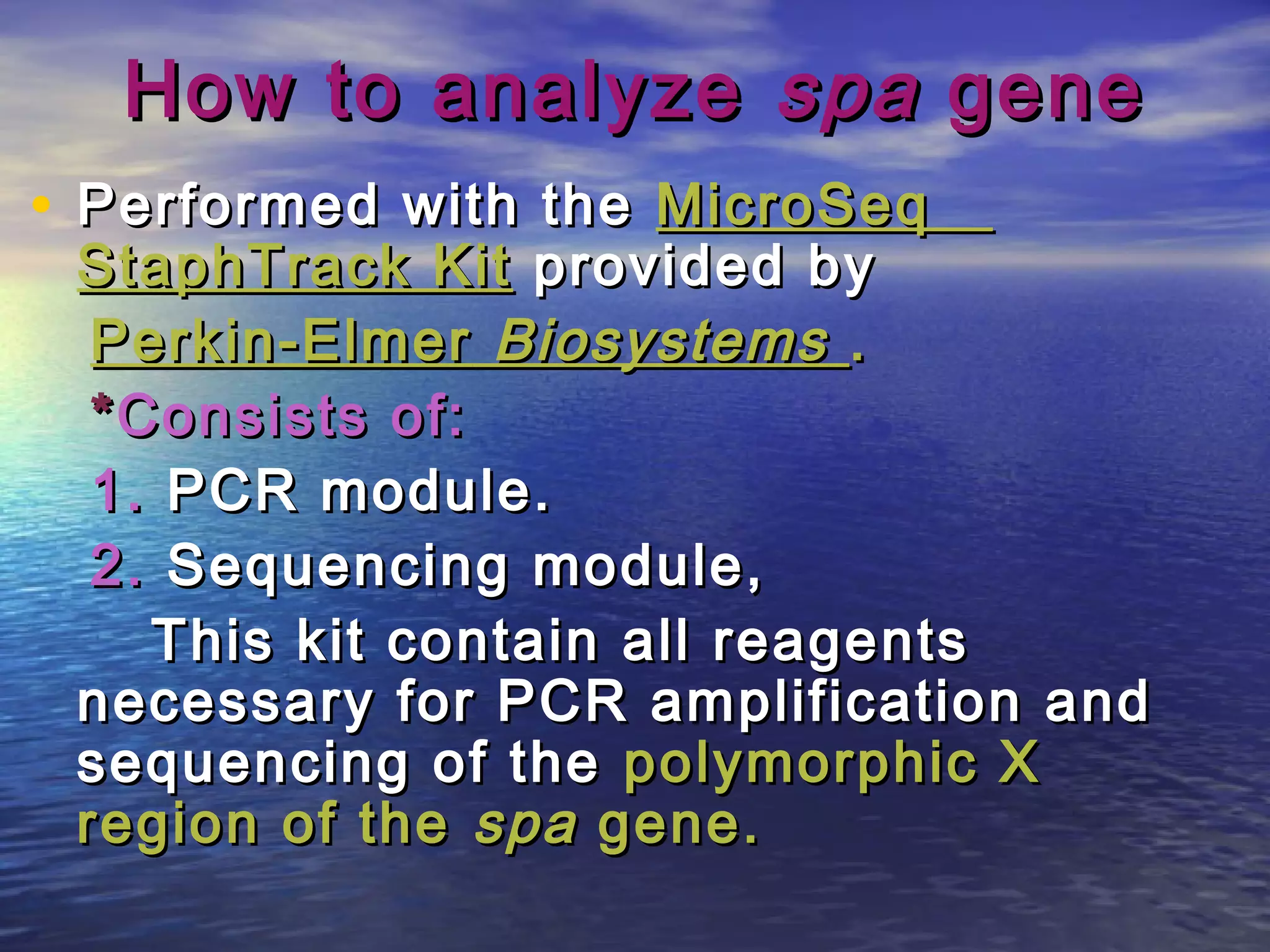 Diagnosis of mrsa by molecular methods | PPT