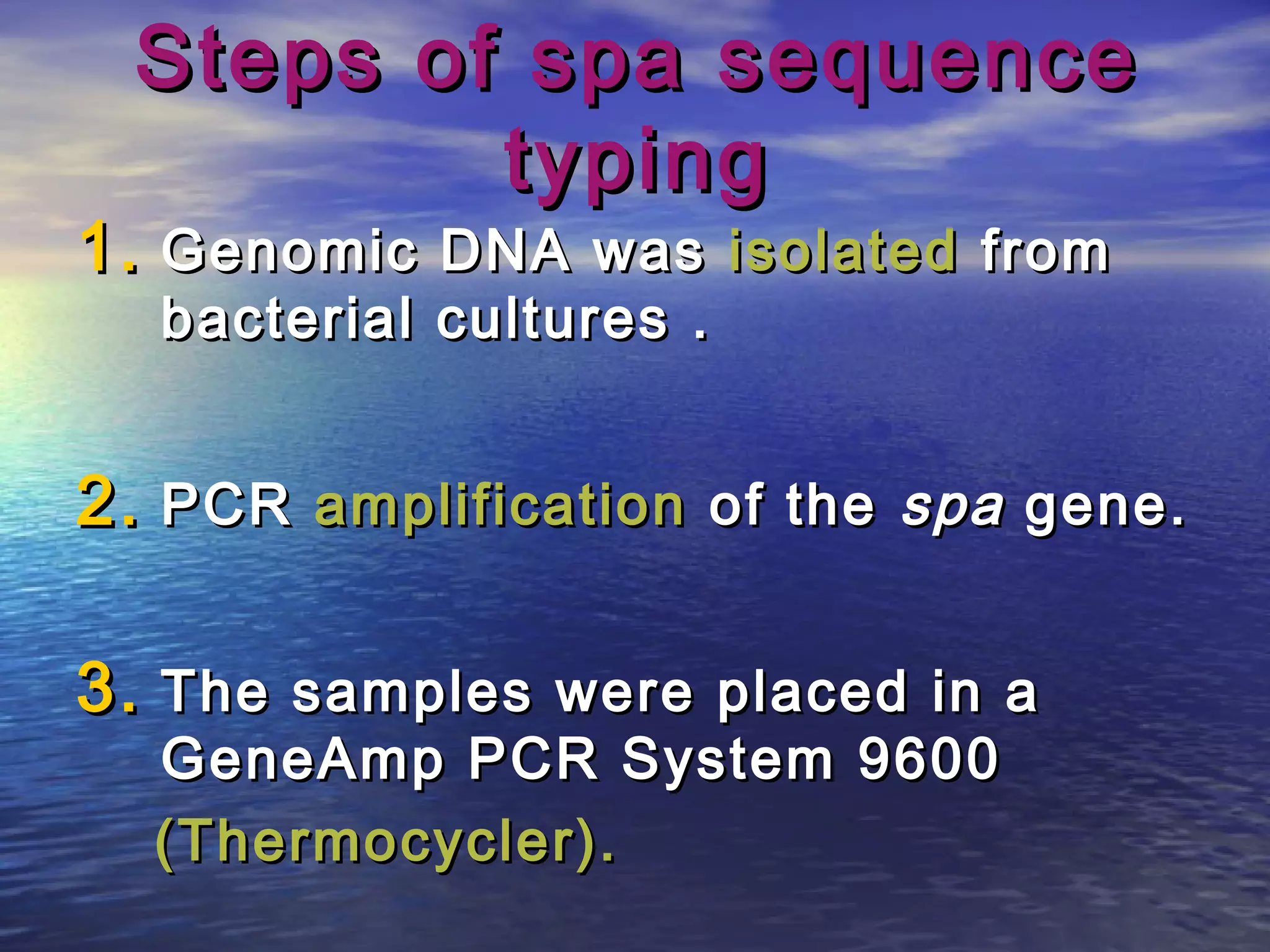 Diagnosis of mrsa by molecular methods | PPT