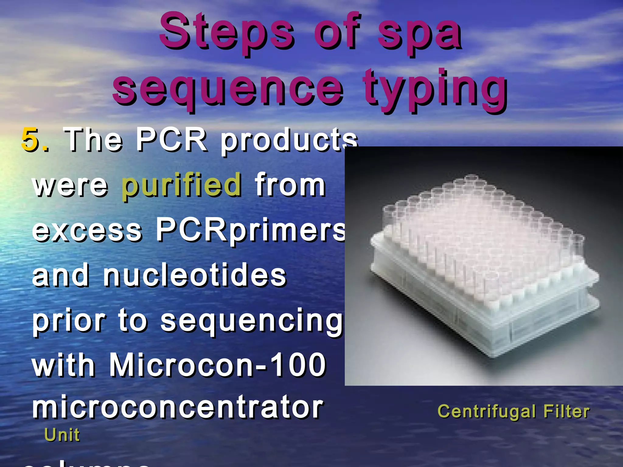 Diagnosis of mrsa by molecular methods | PPT