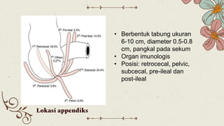 Diagnosa dan Tatalaksana Appendicitis Akut | PPTX