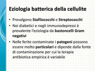 Diagnosi e terapia di erisipela e cellulite nel linfedema cronico | PPTX