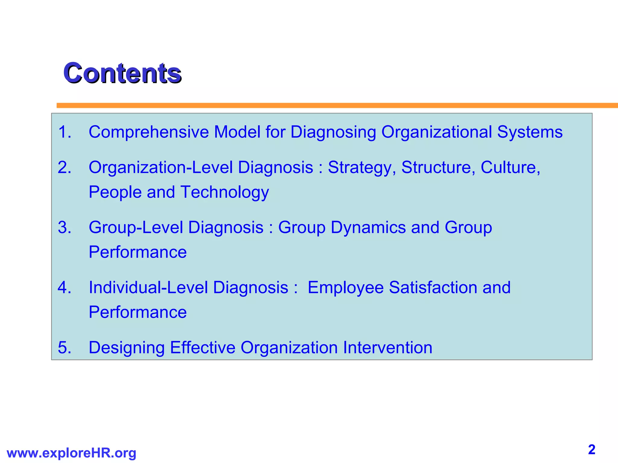 Diagnosing Organizational Effectiveness | PPT