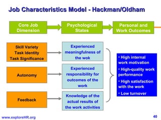 Diagnosing Organizational Effectiveness | PPT