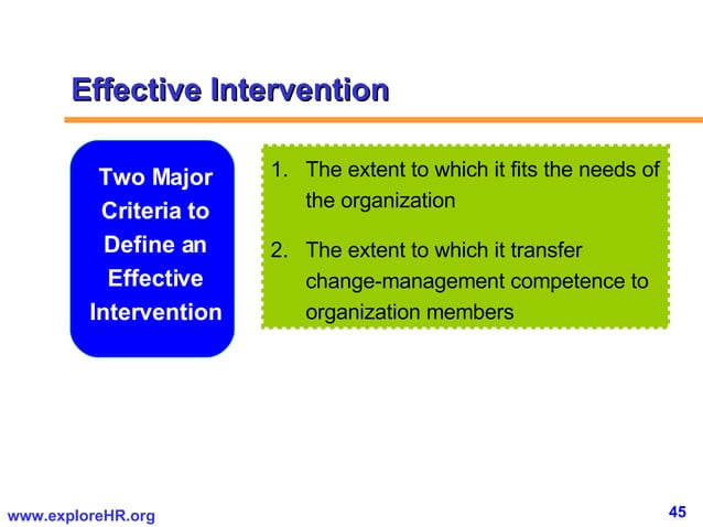 Diagnosing Organizational Effectiveness | PPT | Human Resources | Business
