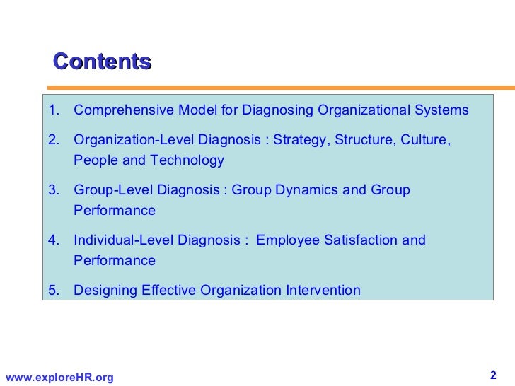 Diagnosing Organizational Effectiveness