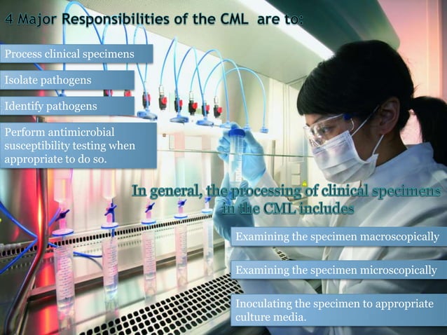 diagnosinginfectiousdiseases-140317090826-phpapp01.pdf