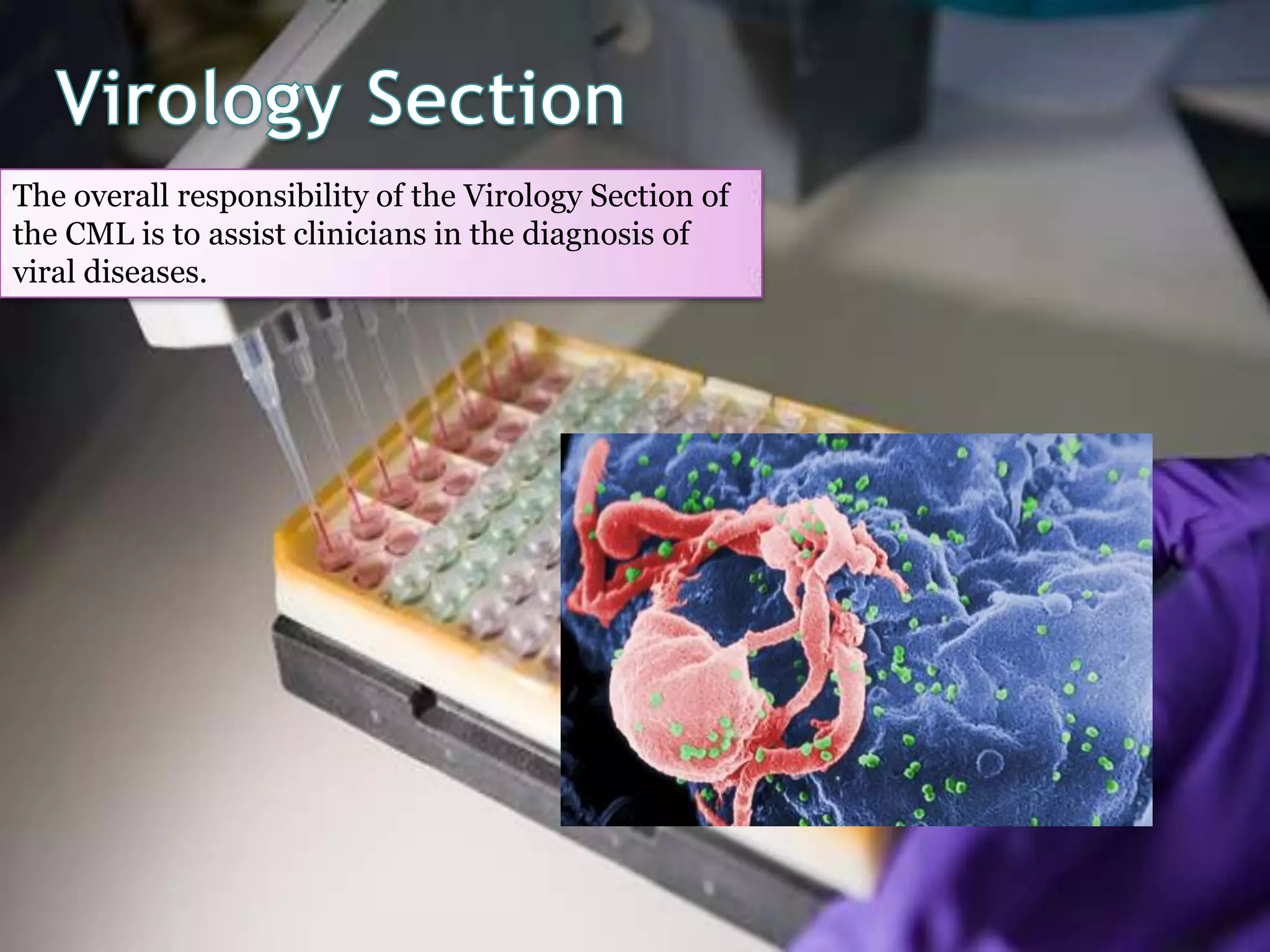 Chapter 13 Diagnosing Infectious Diseases | PPTX