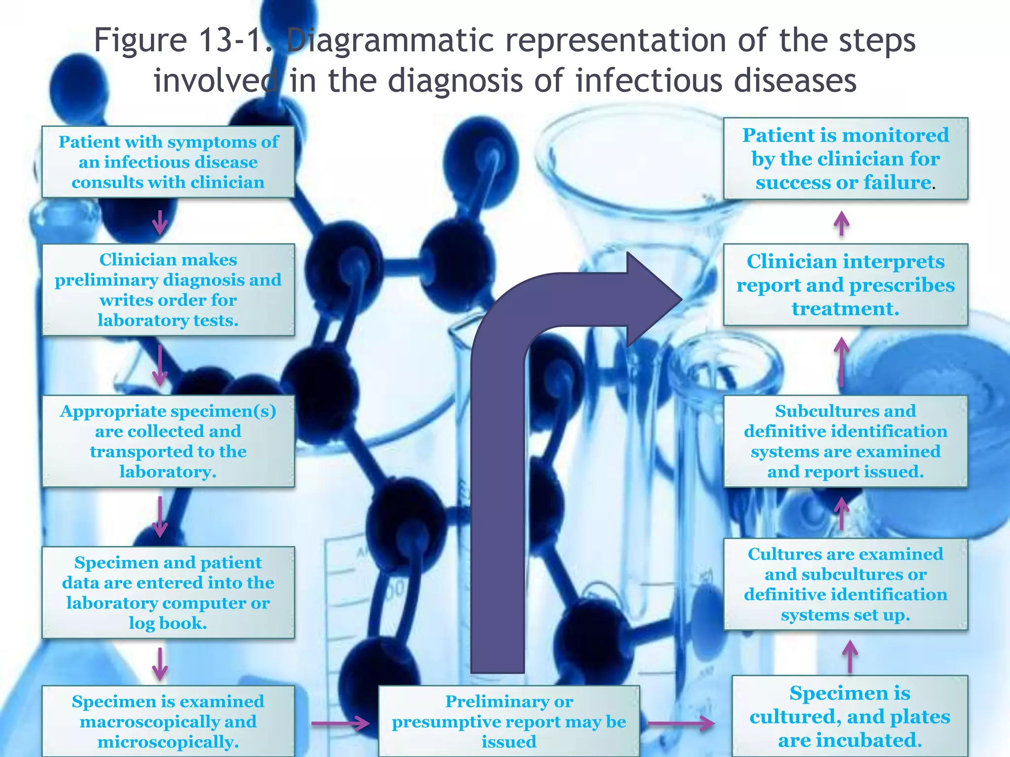 Chapter 13 Diagnosing Infectious Diseases | PPTX