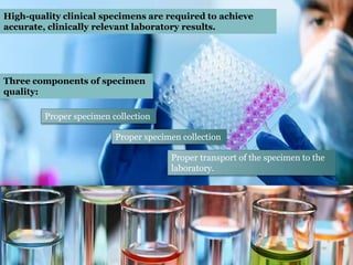 Chapter 13 Diagnosing Infectious Diseases | PPTX