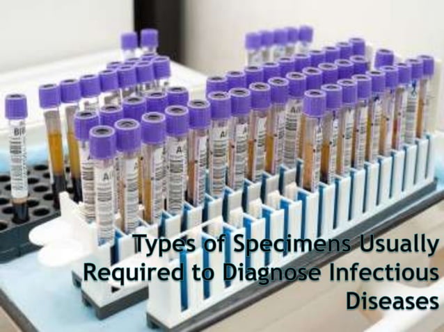Chapter 13 Diagnosing Infectious Diseases | PPTX | Infectious Diseases ...