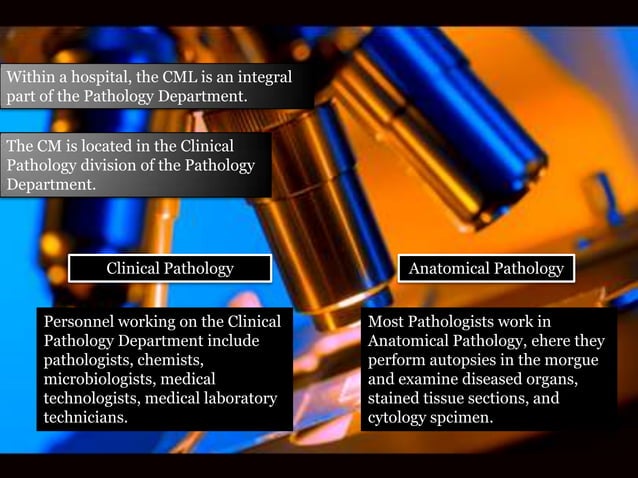 Chapter 13 Diagnosing Infectious Diseases | PPTX | Infectious Diseases | Diseases and Conditions