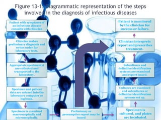 Chapter 13 Diagnosing Infectious Diseases | PPTX
