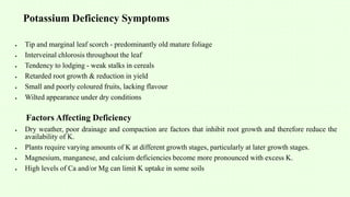 Diagnosing nutrient deficieny in wheat | PPTX