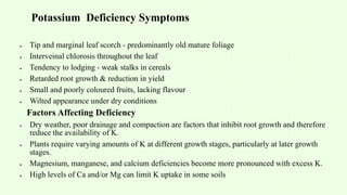 Diagnosing nutrient deficieny in wheat | PPTX
