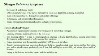Diagnosing nutrient deficieny in wheat | PPTX