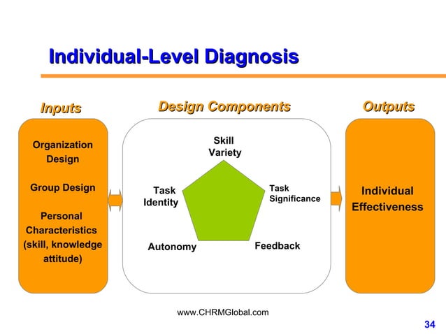 Diagnosing Organizational Effectiveness | PPT
