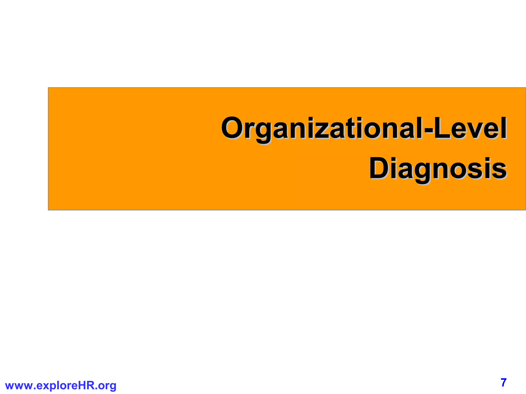 Diagnosing organizational effectiveness | PPT