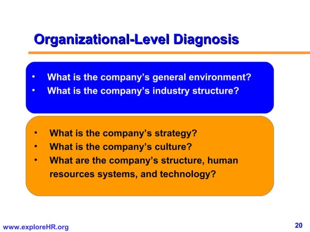 Diagnosing organizational effectiveness | PPT