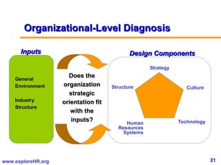 Diagnosing organizational effectiveness | PPT